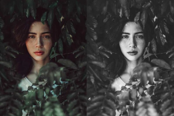 Μαθήματα Photoshop – Craftius Pro | Online Μαθηματα Φωτογραφίας ...