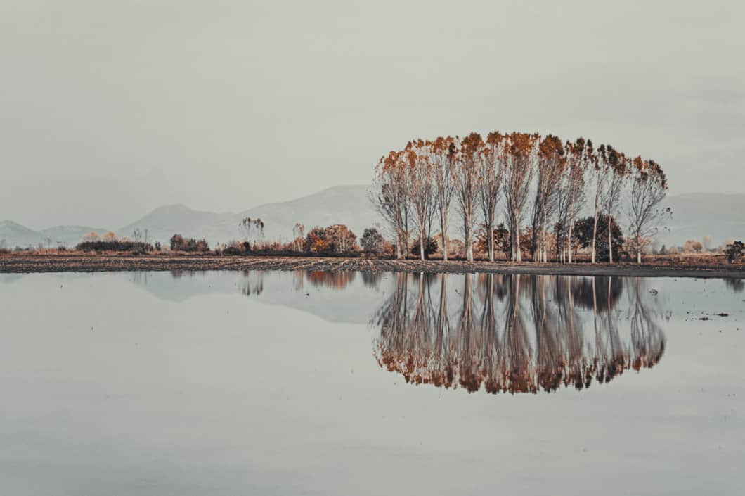 ΔΩΡΕΑΝ ΜΑΘΗΜΑ LIGHTROOM: ΠΩΣ ΝΑ ΣΒΗΝΕΙΣ ΣΚΟΥΠΙΔΑΚΙΑ ΜΕ ΕΝΑ ΚΛΙΚ ...