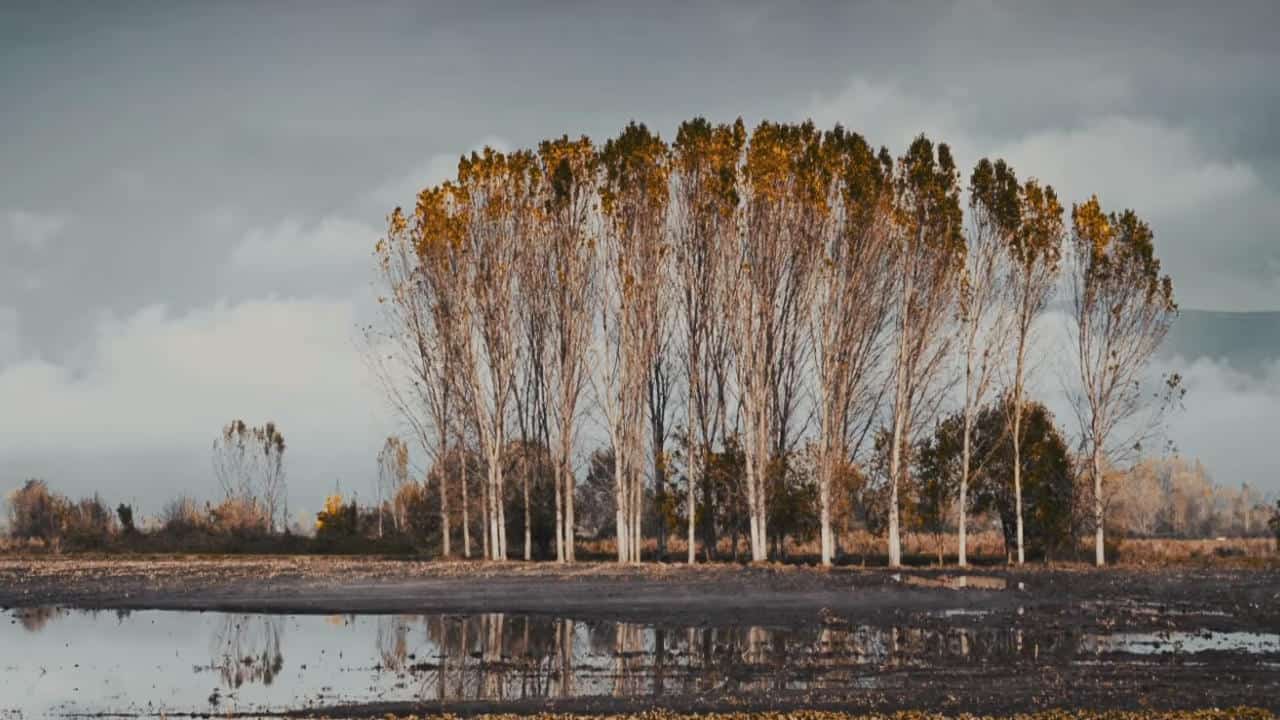 ΔΩΡΕΑΝ ΜΑΘΗΜΑ AFFINITY PHOTO: ΡΕΤΟΥΣΑΡΙΣΜΑ: ΣΒΗΣΕ ΑΤΕΛΕΙΕΣ ΣΤΙΣ ...
